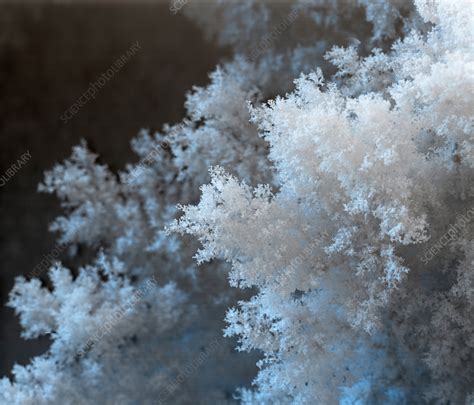 Superamphiphobic Surface SEM Stock Image C056 2290 Science Photo