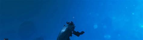 Valheim Diving Mod H N H At Valheim Nexus Mods And Community