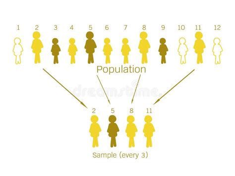 Research Process Sampling From A Target Population Stock Vector Illustration Of Business