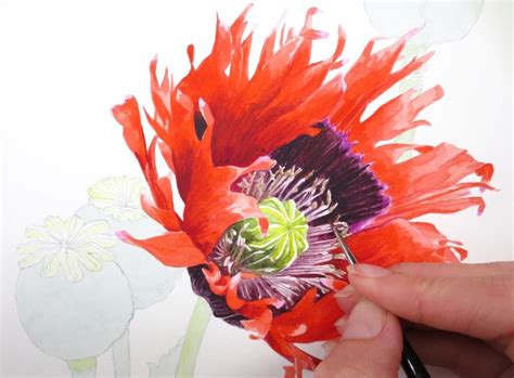 Join My School Nature Studio Learn Watercolor Painting Watercolor Art Learn Watercolor