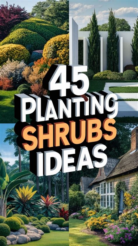 Best 13 32 Planting Shrubs Ideas Artofit