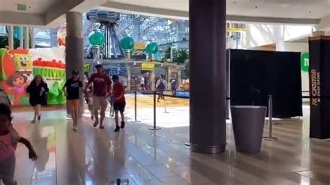 Cerraron Por Un Tiroteo El Centro Comercial Más Grande De Eeuu Infobae