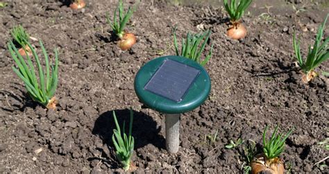 Best Outdoor Ultrasonic Pest Repeller Patio Gateway