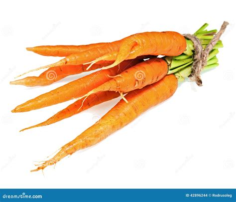 Verduras Dulces Frescas De Las Zanahorias Aisladas En El Fondo Blanco