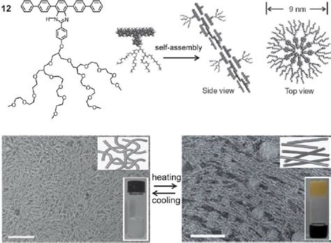 Molecular Structure Of Amphiphile 12 Tem Images And Schematic Download Scientific Diagram