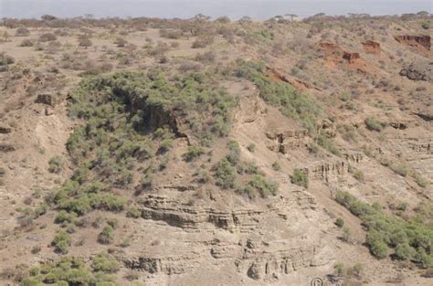 Olduvai Iaub