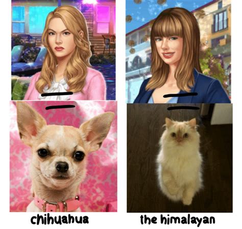 Dont Ask Its Too Hard To Explain Rchoices