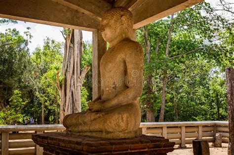 La Estatua De Samadhi Buddha En El Parque De Mahamevnawa En
