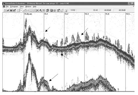 The Example Of Acoustic Echogram For Extracting Acoustic Signal Of Download Scientific Diagram