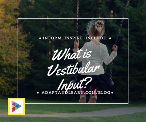 What Is Vestibular Input And What Therapy Helps