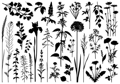 Premium Vector Set Of Abstract Circle Shapes For Design Radial