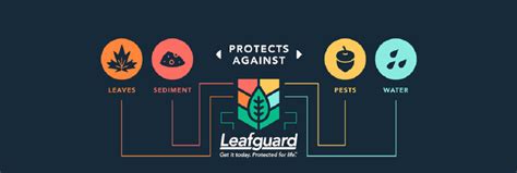 Leafguard Gutter Protection 40 Reviews Gutter Services In