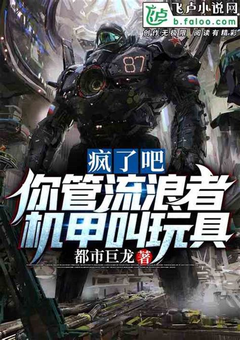 疯了吧！你管流浪者机甲叫玩具？都市巨龙小说全本小说下载飞卢小说网