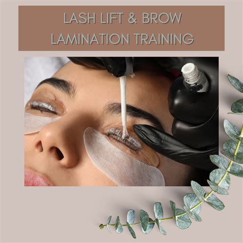 Lash Lift Brow Lamination Training Tkd Beauty Supply