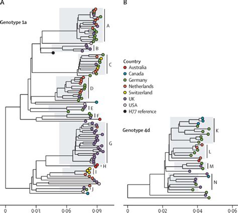 Hepatitis C Virus Transmission Between Eight High Income Countries Among Men Who Have Sex With