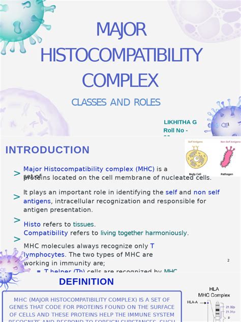 Major Histocompatibility Complex Pdf Major Histocompatibility