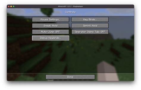Debug Keybind Minecraft Mod