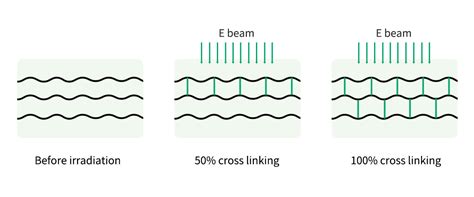 The Influence Of Processing Conditions On Cross Linked Polymer Properties