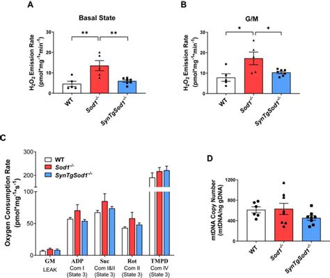 Transgenic Expression Of Sod1 Specifically In Neurons Of Sod1 Deficient Mice Prevents Defects In