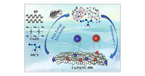 Copyridinic N Bond Constructed At The Interface Of Coxp And N Doped