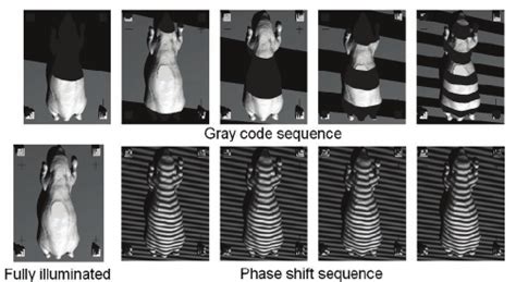 Ray Tracing Simulation Of Mouse Model Showing The Structured Light Download Scientific Diagram