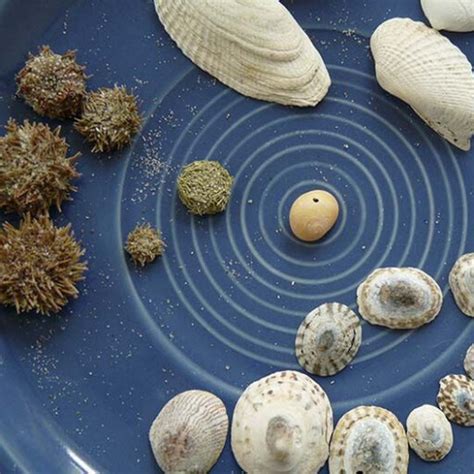 Sarah Risley Research Assistant Phd Candidate University Of Maine