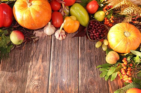 가을 배경과 나무 배경에 계절 열매 호박 사과 로완 포도와 자연 꽃과 마을에서 수확 복사 공간 평면 평신도 0명에 대한 스톡 사진 및 기타 이미지 Istock