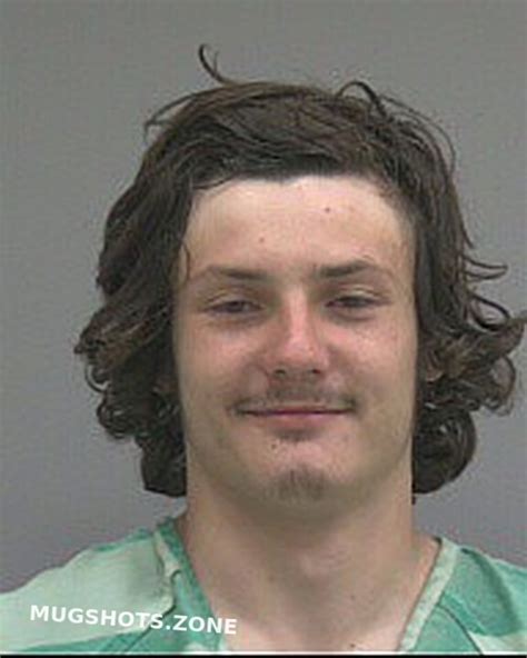 HAMILTON RONALD DAVID Alachua County Mugshots Zone