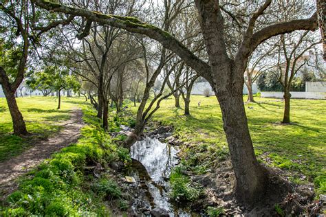 Para prevenir eventuais inundações por chuvas intensas CÂMARA MUNICIPAL DE ÉVORA REFORÇA LIMPEZA