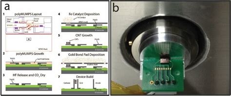 12 A Polymumps Process Flow With Assembly B Device On Test Board Download Scientific