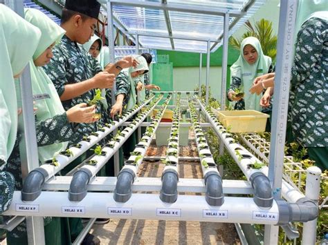 MAN 3 Sleman Ajarkan Bercocok Tanam di Lahan Sempit dengan Hidroponik – Berita Terkini Jawa ...