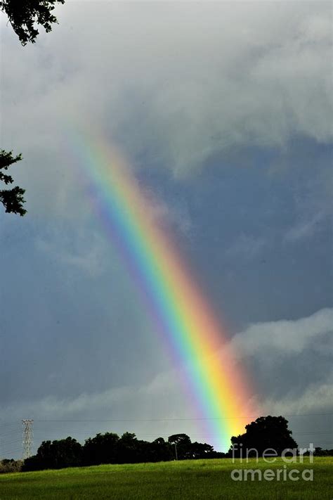 Rainbow Photograph By Viktoriya Sorochuk Fine Art America