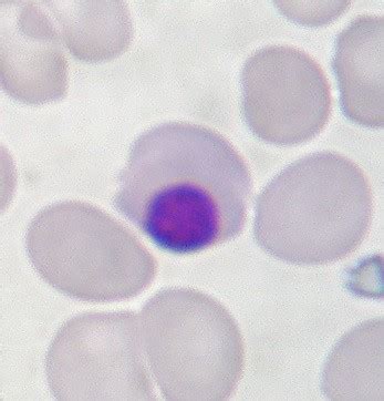 Flickriver Dione1986 S Favorite Photos