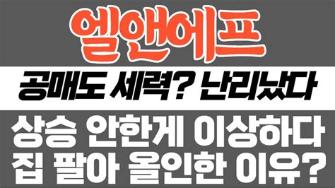 엘앤에프 엘앤에프주가전망 엘앤에프주가 엘앤에프전망 엘앤에프분석 엘앤에프목표가 엘앤에프실적 엘앤에프종목분석