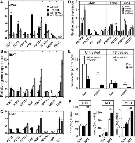 gene expression profiles a c relative gene expression measured by