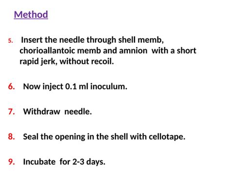 Egg Exerciseppt Pptx