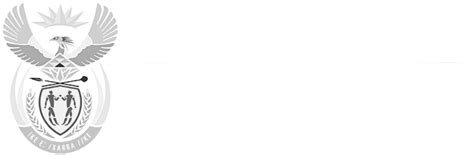 What Is A Saps 91 A Form