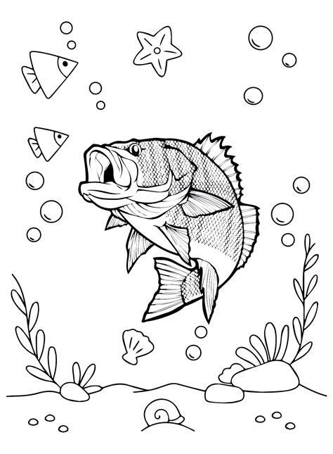 Fishing For Bass Fish Coloring Page Free Printable Coloring Pages