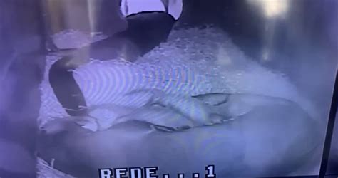 Odderunger Fylder Tre Uger