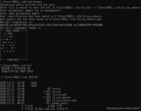 网络 Telnet协议与SSH协议命令免密登录及其安全性 阿里云开发者社区