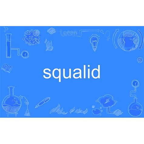 Squalid百度百科
