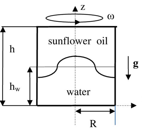 Schematic Of The Numerical Problem Download Scientific Diagram