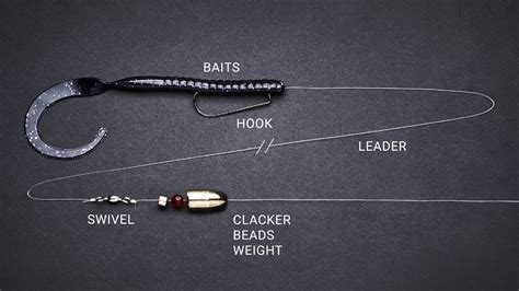 How To Rig A Carolina Rig Tackle Warehouse