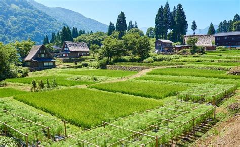 便利じゃないけど昔は良かった里山が救う日本経済と人の心 まぐまぐニュース
