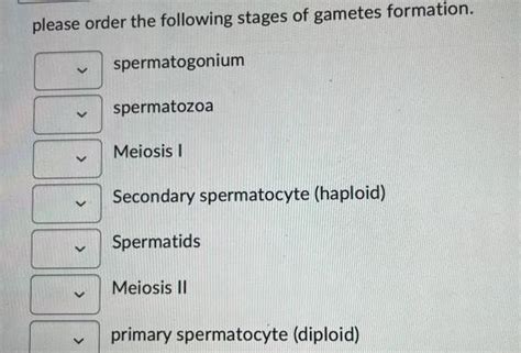 Answered Please Order The Following Stages Of Gametes Formation Kunduz