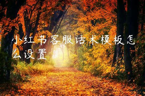 小红书客服话术模板怎么设置 贝淘网