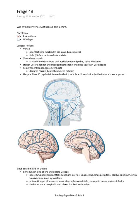 Anatomiefrage 48 Warning Tt Undefined Function 32 Warning Tt Undefined Function 32 Wie