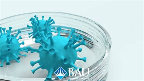 Bioengineering Turkish Thesis Bau International