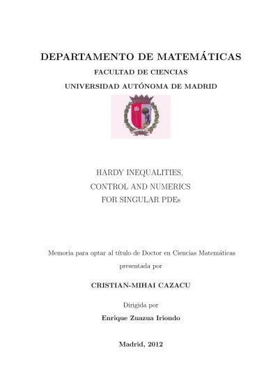 Conical Domains Hardy Inequalities With Boundary Quadratic Singular