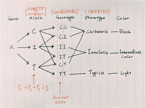 Expectation Maximization Algorithm Explained · Xiaozhous Notes